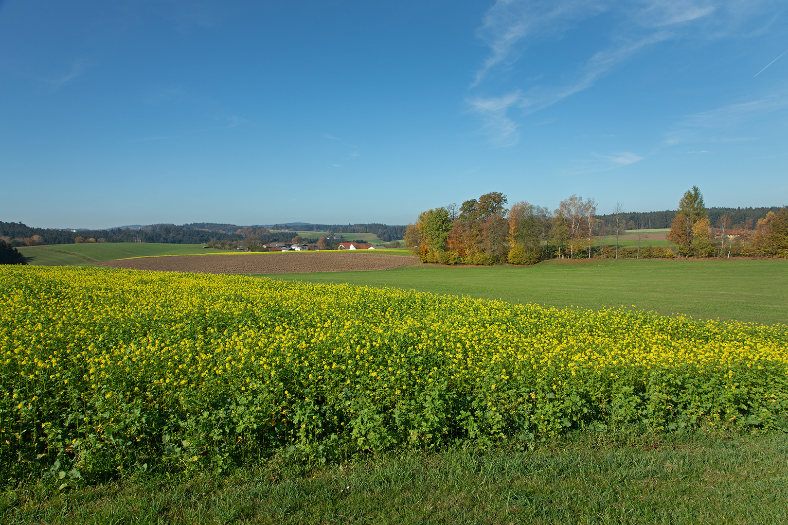 fast ein bisschen Frühling ... Foto & Bild | landschaft, Äcker, felder ...