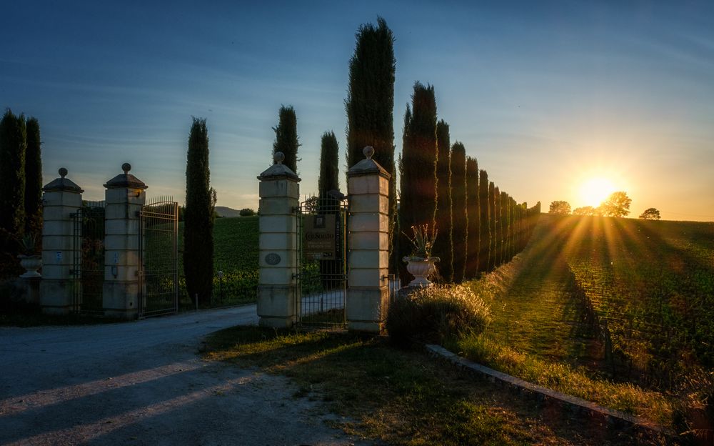 Fattoria Colsanto Foto & Bild | italy, sunset, world Bilder auf fotocommunity