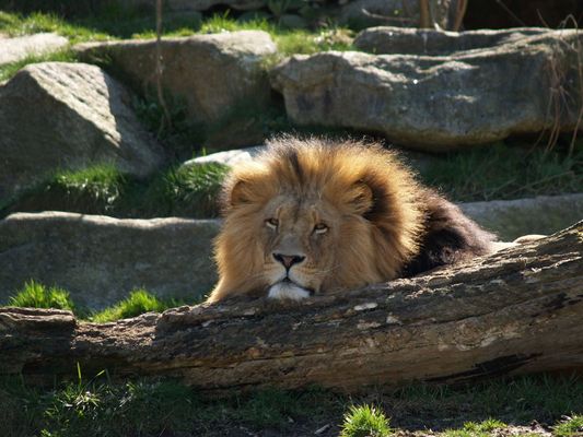 AndreaAS Schmidt - Fotos & Bilder - Fotografin | fotocommunity