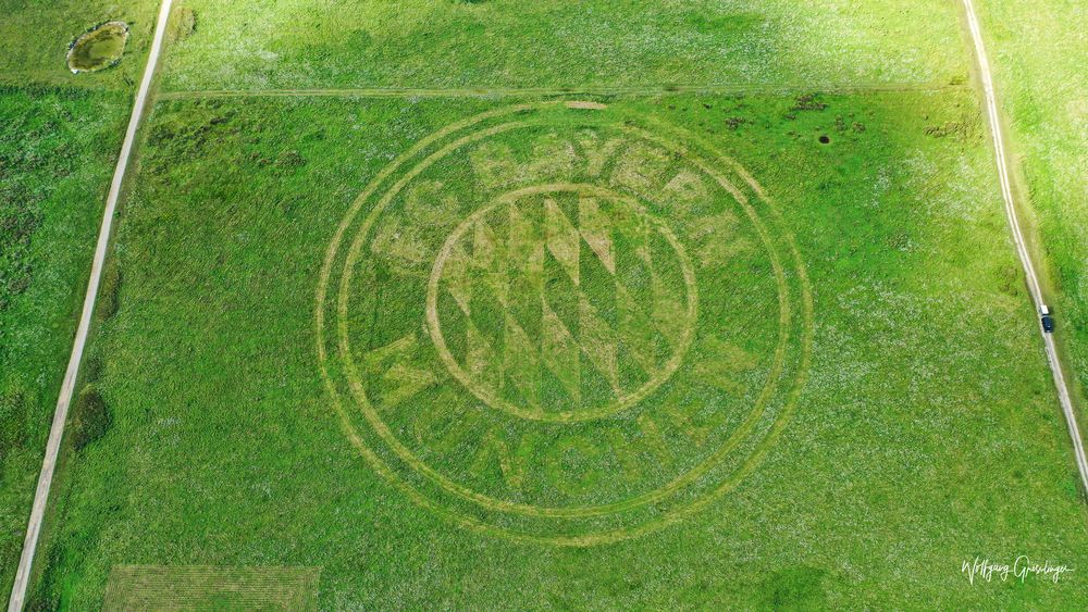 FC Bayern Wappen in Feld Foto & Bild | landschaft, Äcker, felder ...