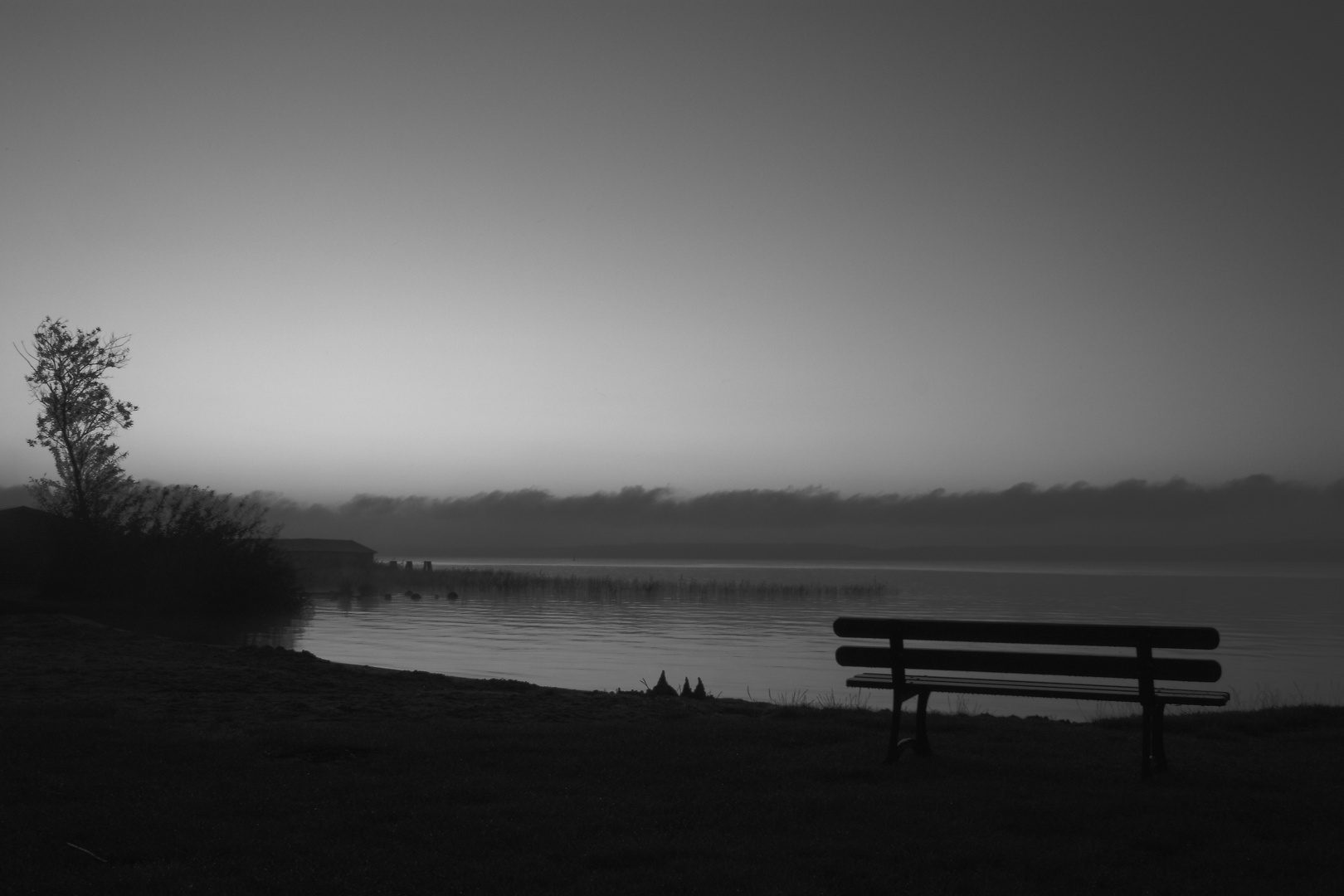 Foto & Bild | monochrom, bearbeitungs - techniken, digiart Bilder auf fotocommunity