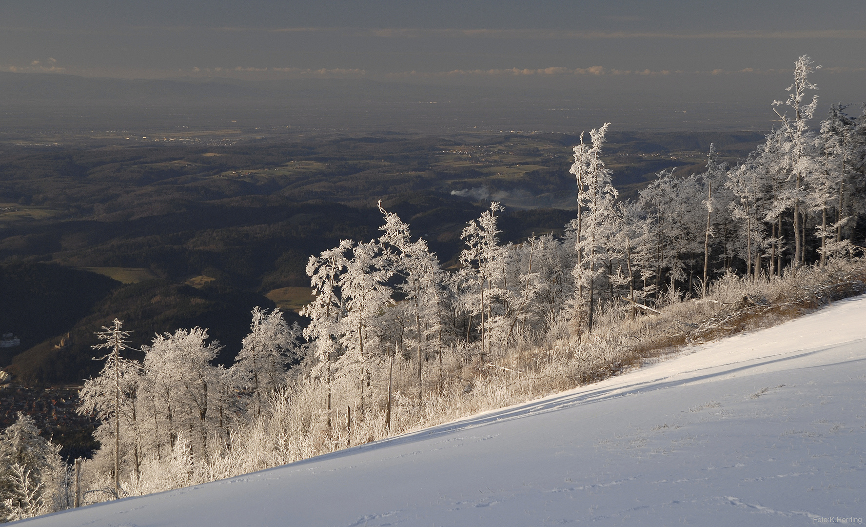 Februar Foto & Bild | jahreszeiten, winter, bäume Bilder auf fotocommunity