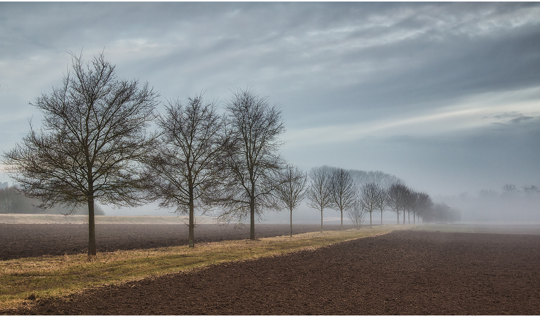 Februar Foto & Bild | bäume, winter, feld Bilder auf fotocommunity