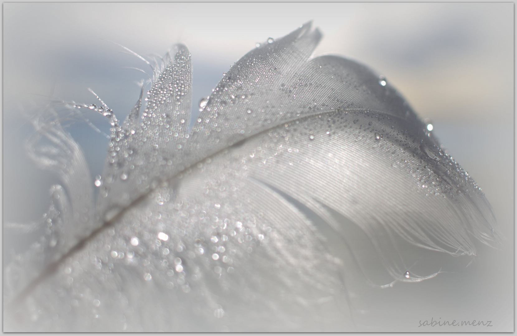 ...Feder... Foto & Bild | tiere, natur-kreativ, spuren von tieren ...