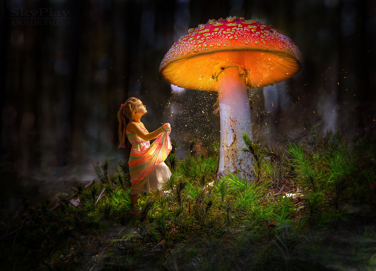 Feenstaub / fairy dust Foto & Bild | fotomontage, fantasy mystery, composing Bilder auf ...