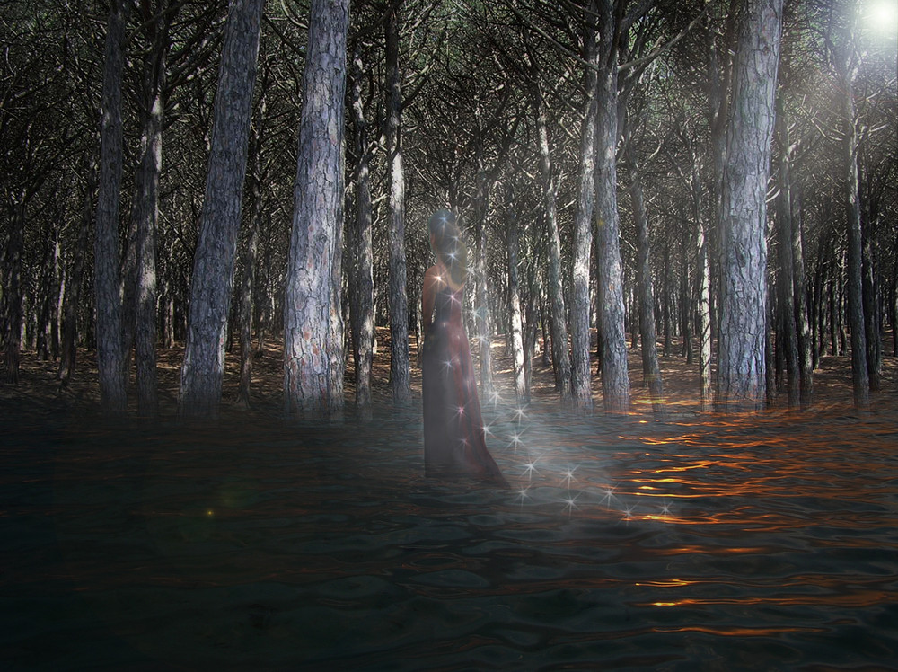 Feenwald Foto & Bild | fotomontage, fantasy mystery, fotokunst Bilder auf fotocommunity