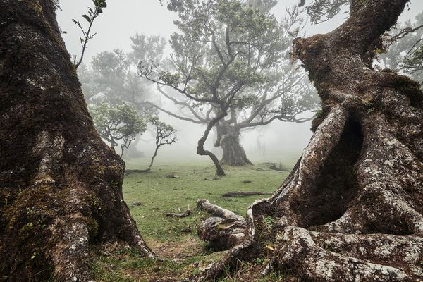 Madeira Bilder & Fotos
