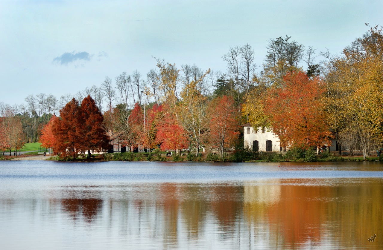 Féerie automnale photo et image | les saisons, automne, photos ...