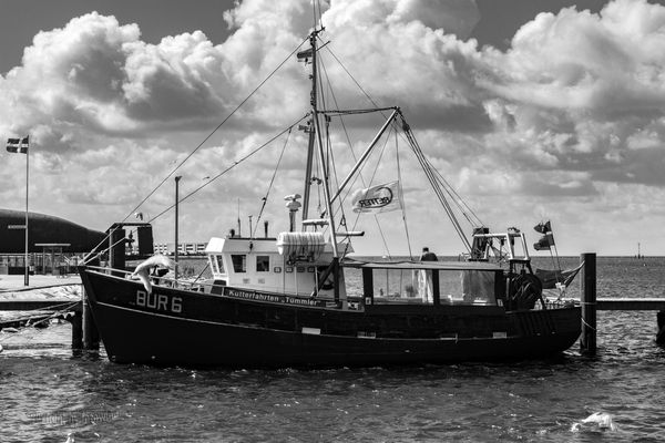 Fehmarn Bilder & Fotos