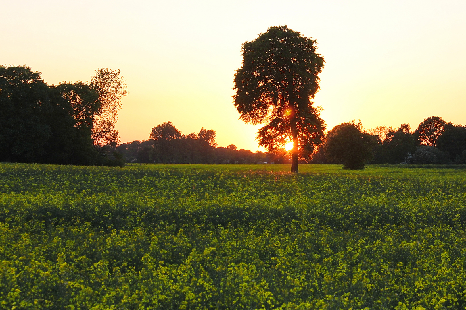 Feierabend.. Foto & Bild | landschaft, sonnenuntergänge, Äcker, felder ...