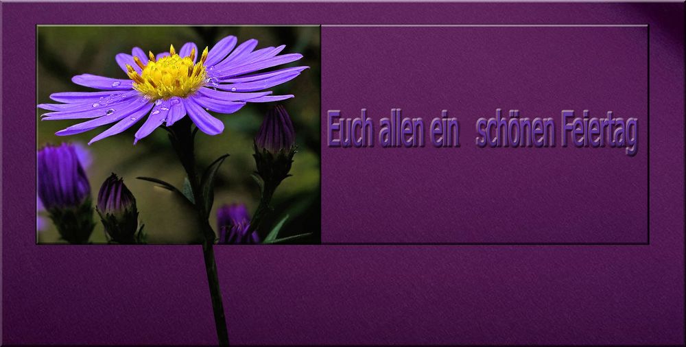 Feiertag Foto & Bild | gratulation und feiertage, wünsche allgemein ...