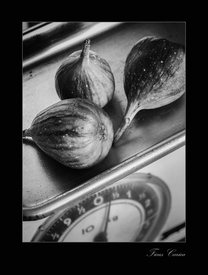 Feigen Foto & Bild | stillleben, food-fotografie, obst & gemüse Bilder ...