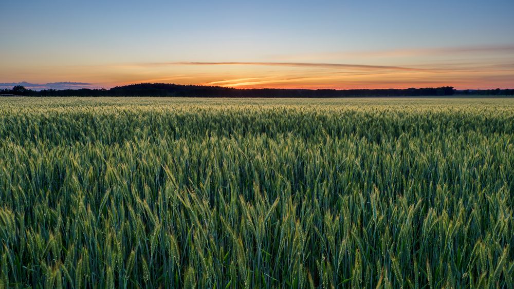 Feld Foto & Bild | deutschland, europe, brandenburg Bilder auf ...