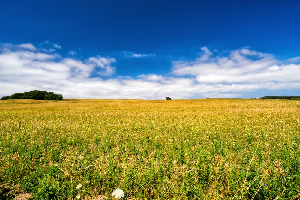 Feld Foto & Bild | konstruktive bildbesprechung, outdoor, wolken Bilder ...