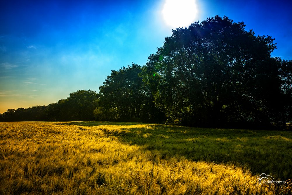 Feld Foto & Bild | jahreszeiten, frühling, best Bilder auf fotocommunity