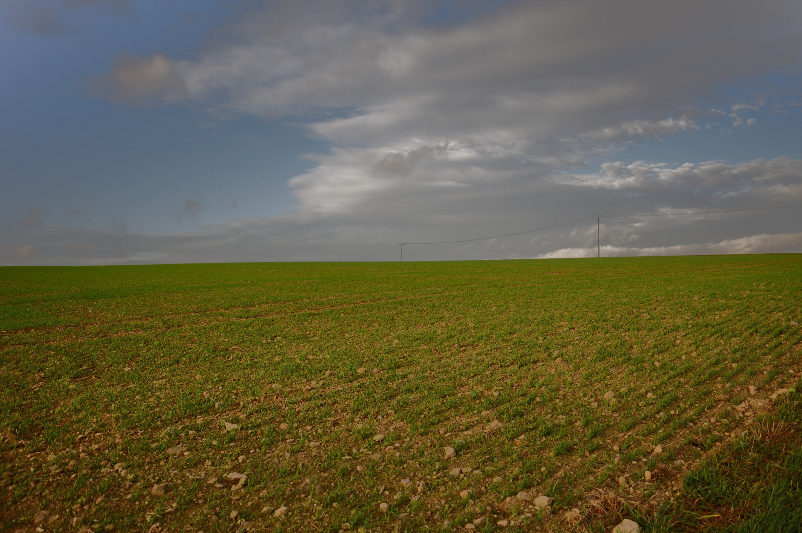 Feld Foto & Bild | landschaft, Äcker, felder & wiesen, natur Bilder auf ...