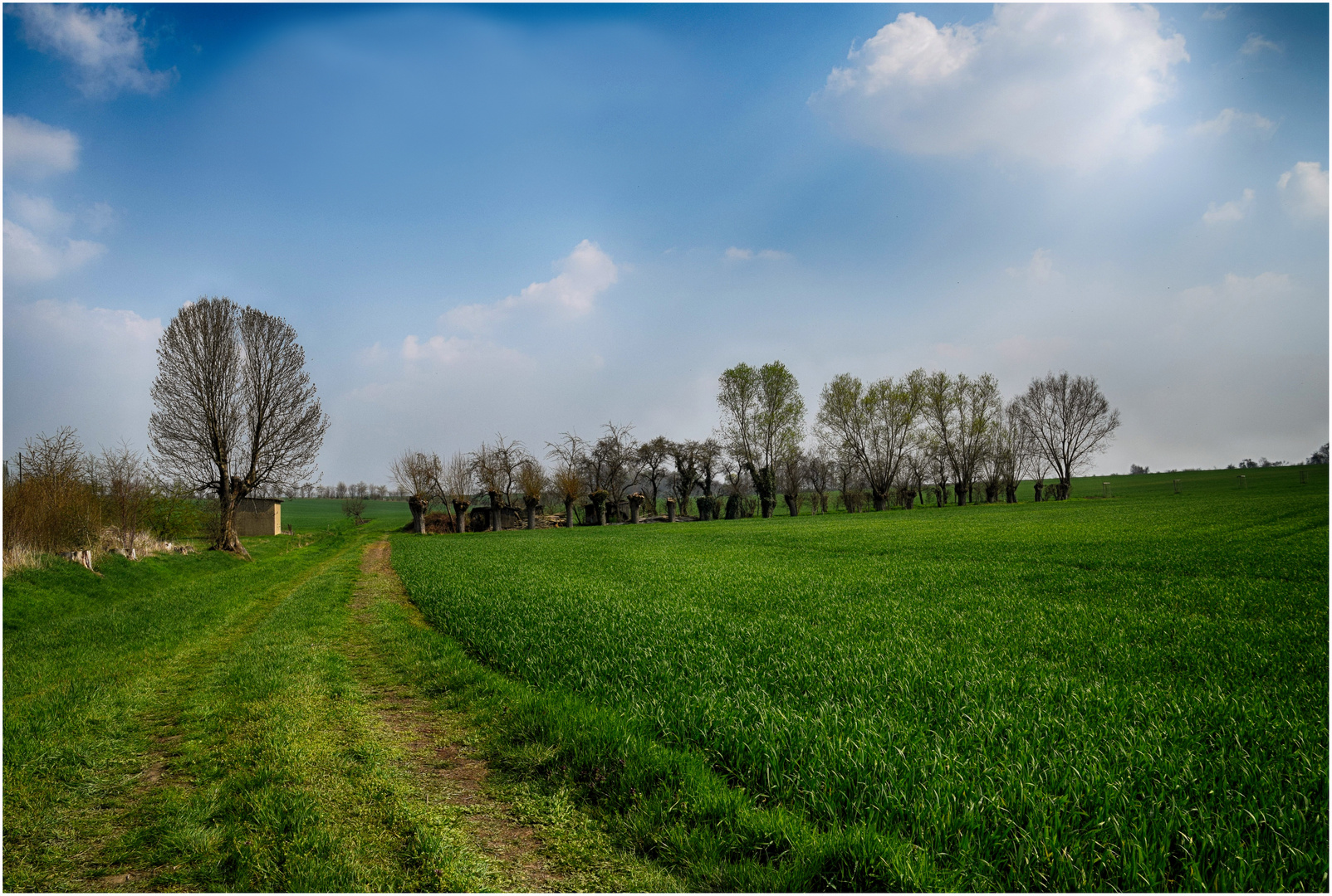 Feld-Weg Foto & Bild | frühling, felder, natur Bilder auf fotocommunity
