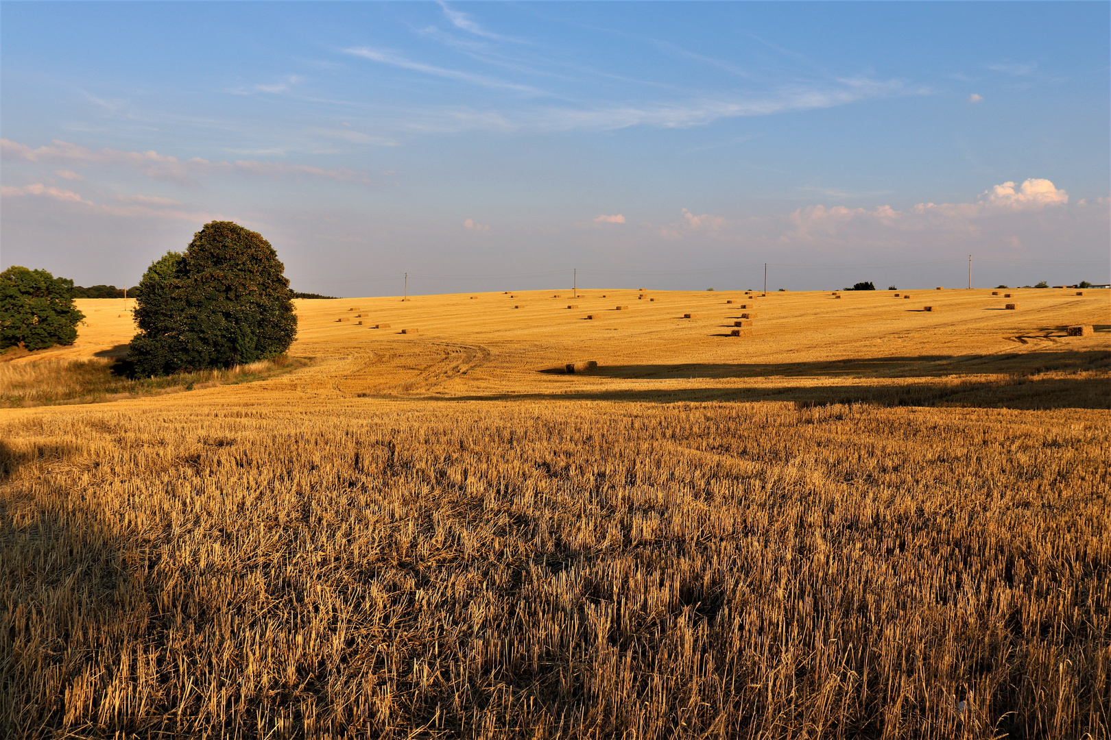 Feld_2 Foto & Bild | landschaft, jahreszeiten, sommer Bilder auf ...