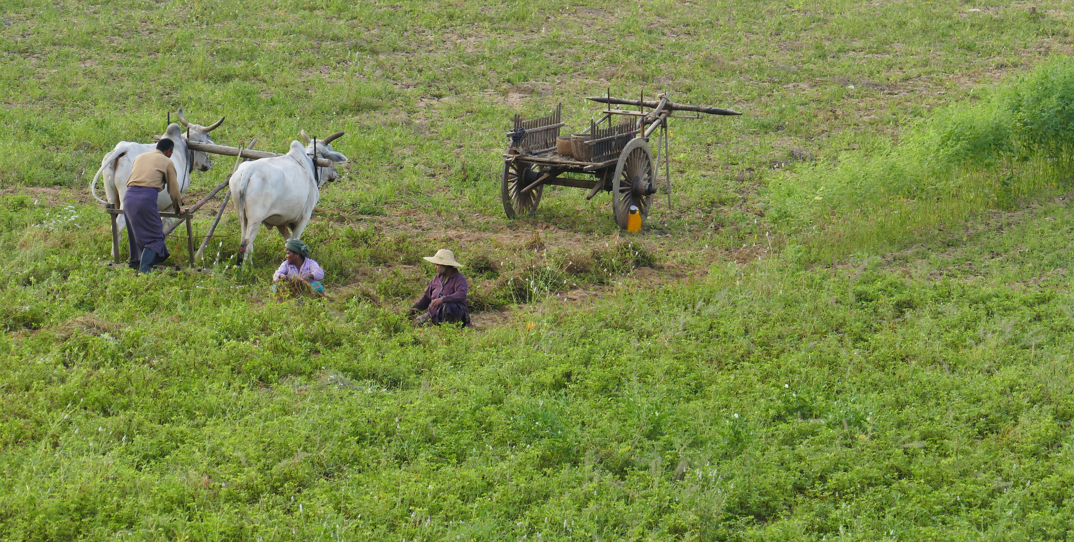 ...Feldarbeit aus der Luft gesehen... Foto & Bild | asia, myanmar ...