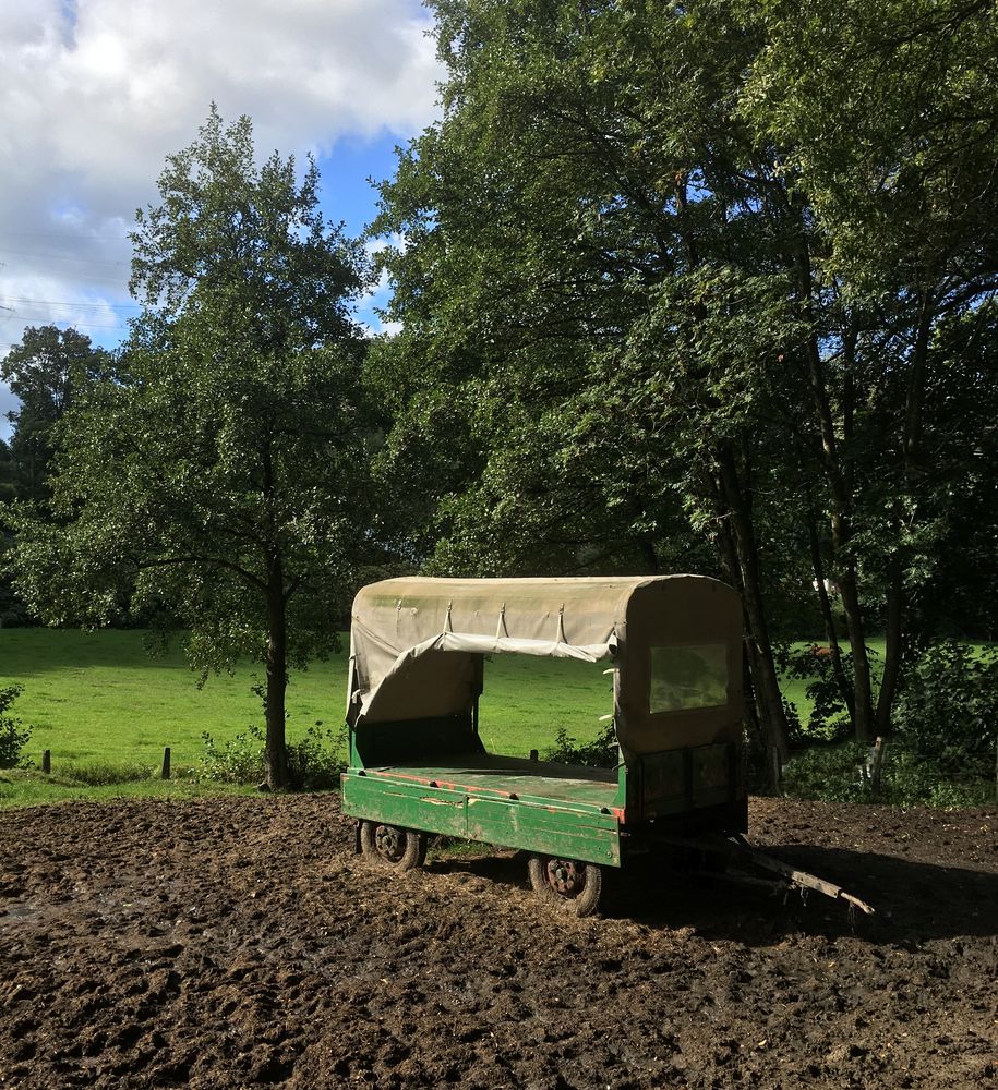 Feldarbeit mit Durchblick Foto & Bild | projekte, 4 - donnerstag mit durchblick, thementage ...