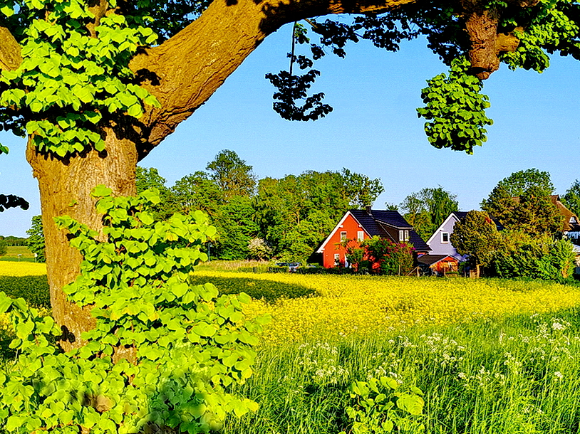 Felder am Dorfrand... Foto & Bild | himmel, natur, motive Bilder auf ...