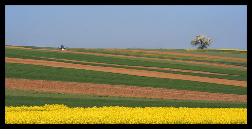 Felder Foto & Bild | landschaft, Äcker, felder & wiesen, natur Bilder ...