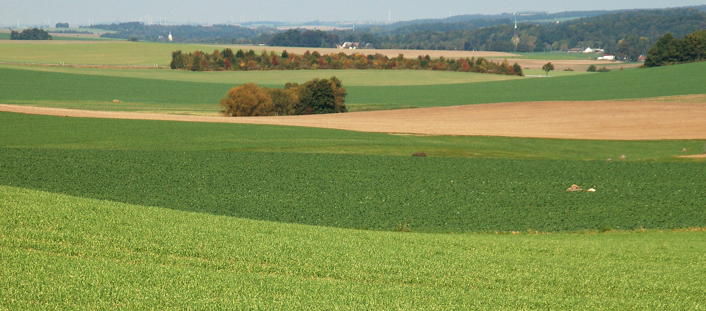 Felder im Herbst Foto & Bild | jahreszeiten, herbst, landschaften ...