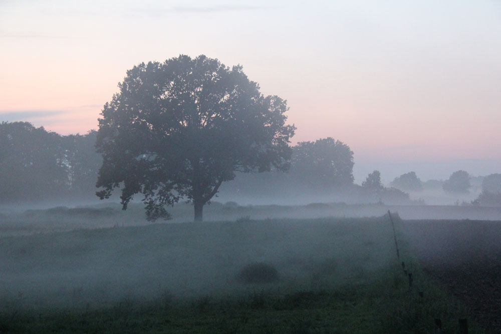 Felder im Nebel Foto & Bild | landschaft, Äcker, felder & wiesen, nebel Bilder auf fotocommunity