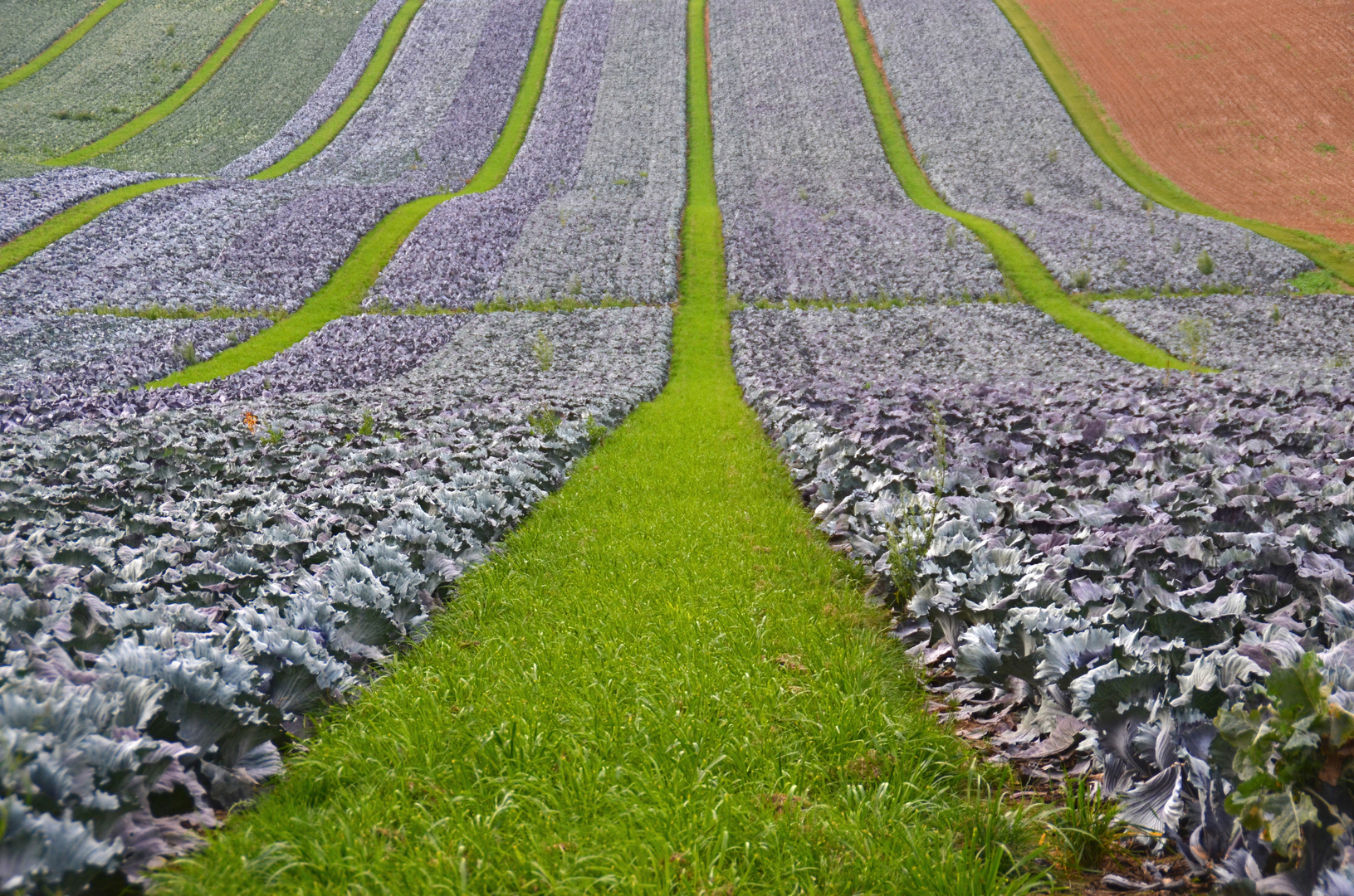 Felder im September (1) Foto & Bild | landschaft, Äcker, felder ...