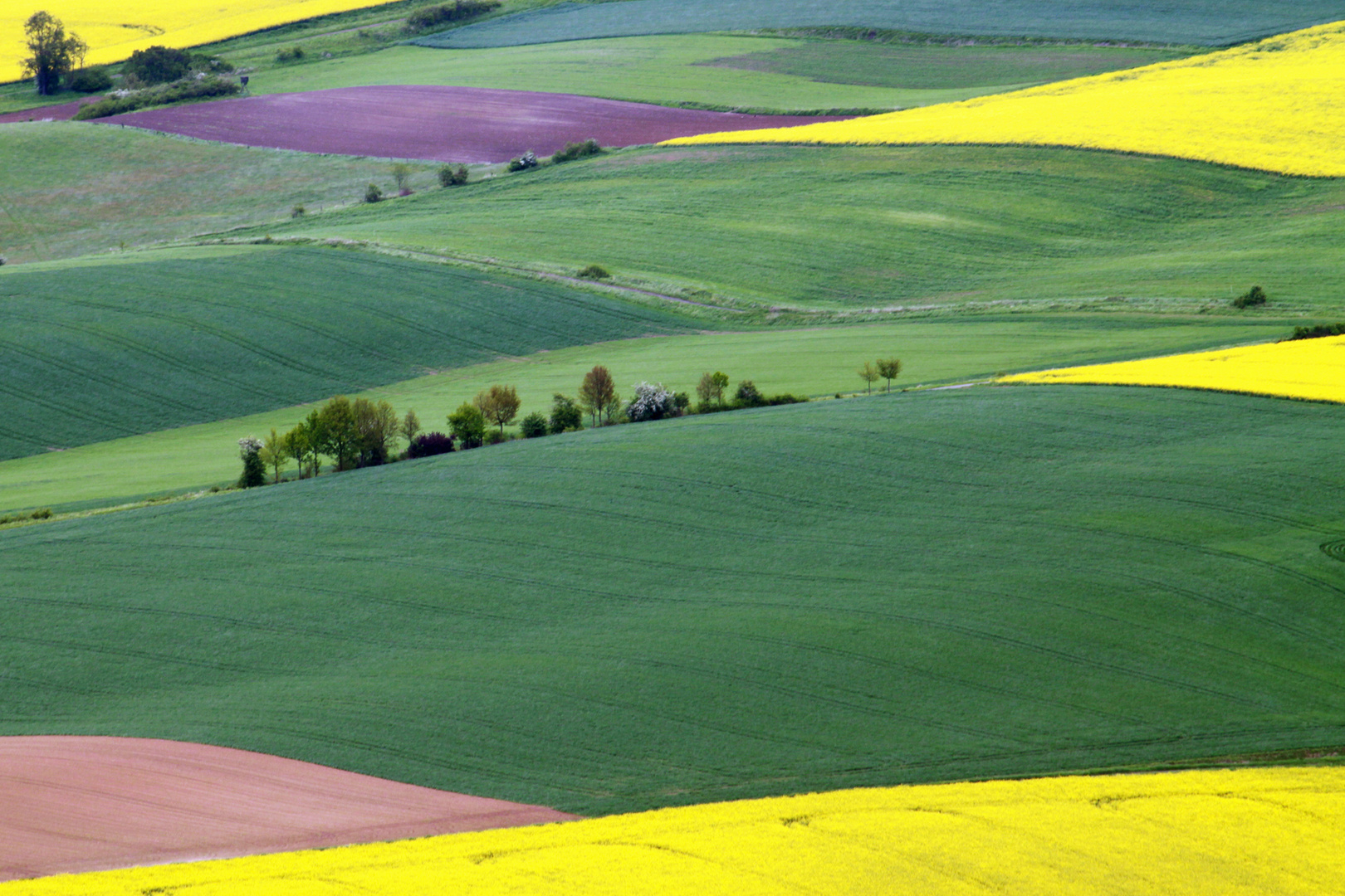 Felder und Muster Foto & Bild | landschaft, Äcker, felder & wiesen ...
