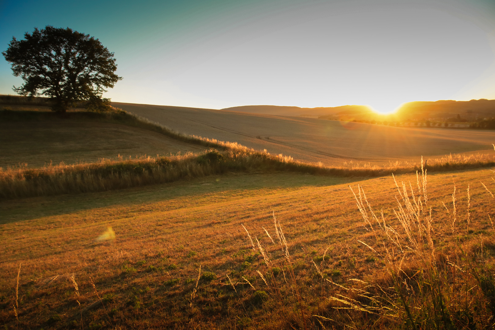 FeldeR & WieseN Foto & Bild | sonnenaufgänge, himmel & universum, sonnenaufgang Bilder auf ...