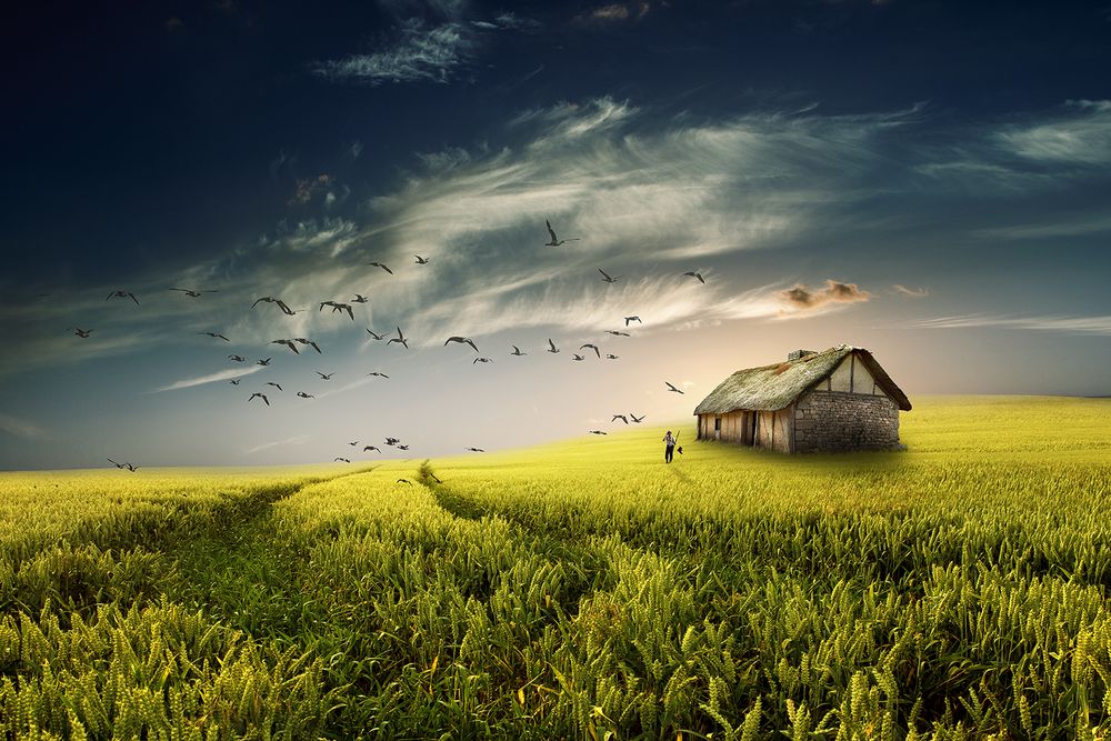 Feldhütte. Foto & Bild | fotomontage, fantasy mystery, wolken Bilder auf fotocommunity