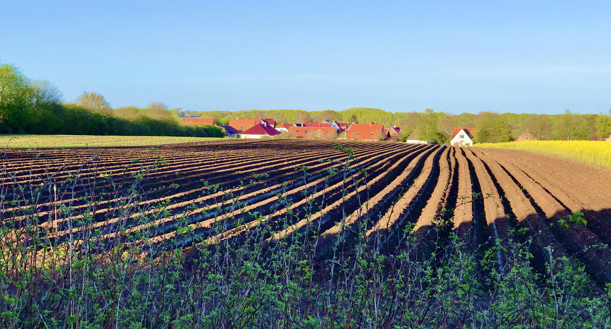 Feldlinien Foto & Bild | sommer, licht, schatten Bilder auf fotocommunity