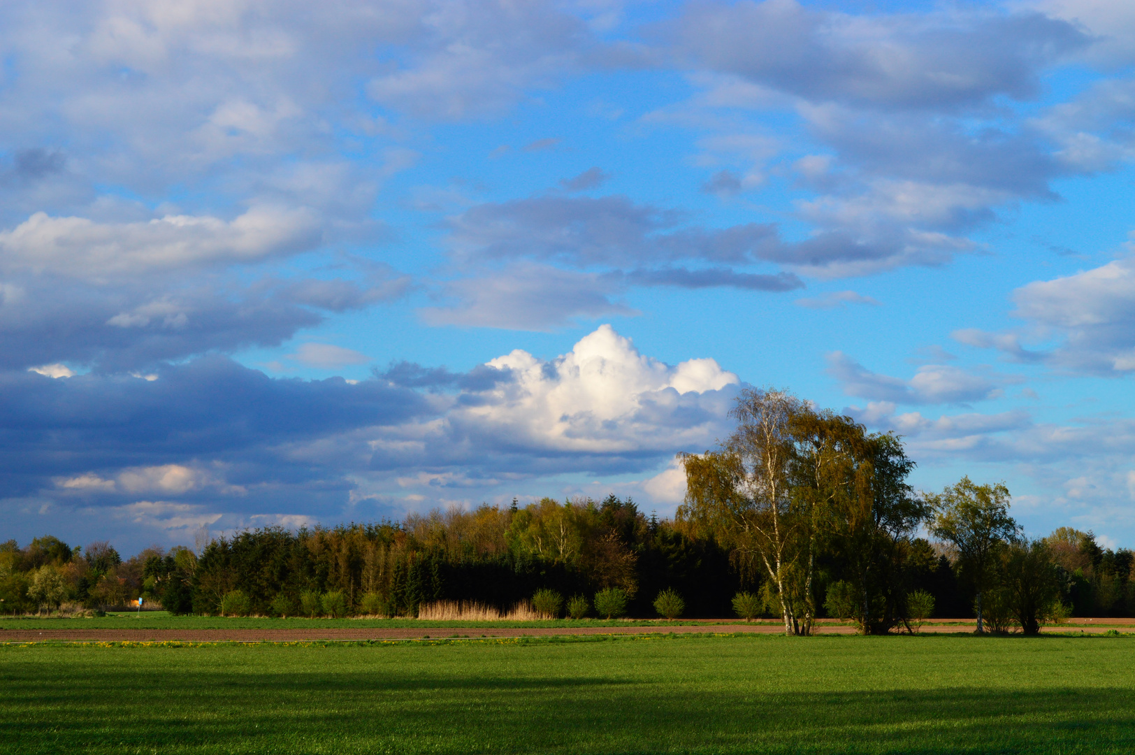 Feldmark bei Stöckte, Winsen (Luhe) Foto & Bild | landschaft, Äcker ...