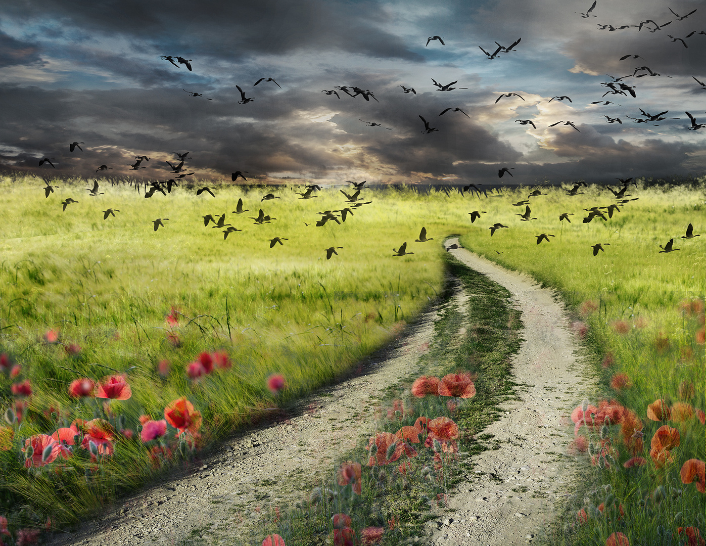 Feldweg Foto & Bild | fotomontage, landschaften, rot Bilder auf fotocommunity