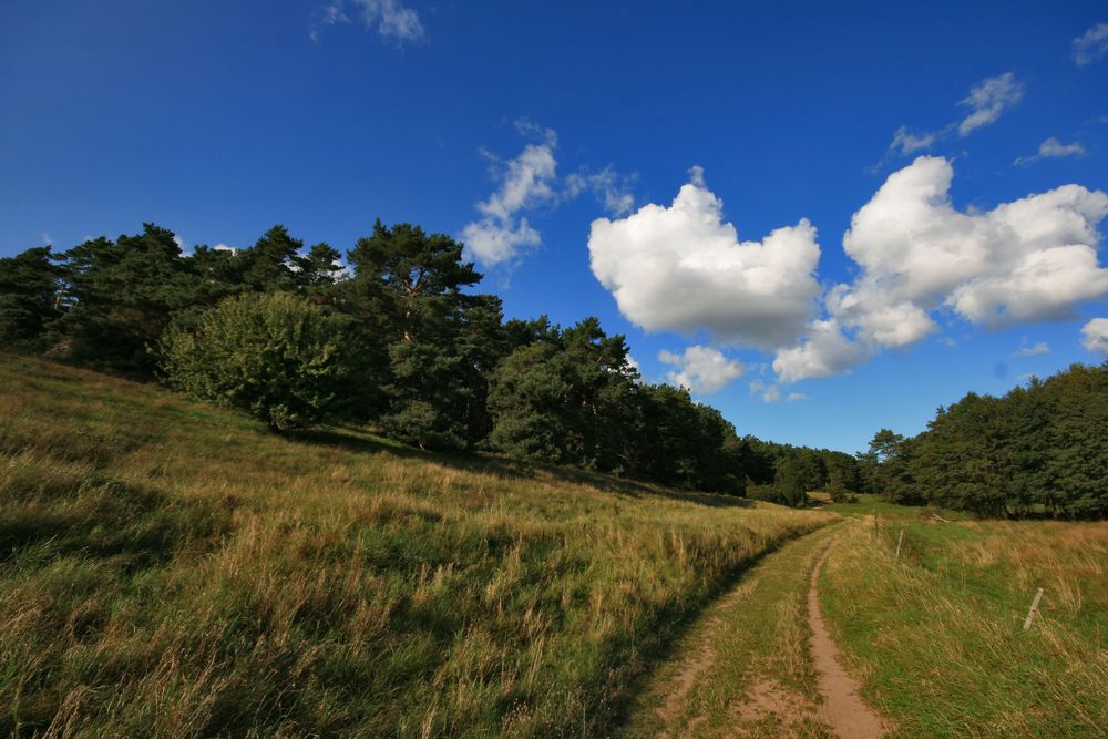 [Feldweg] Foto & Bild | landschaft, wege und pfade, natur Bilder auf ...