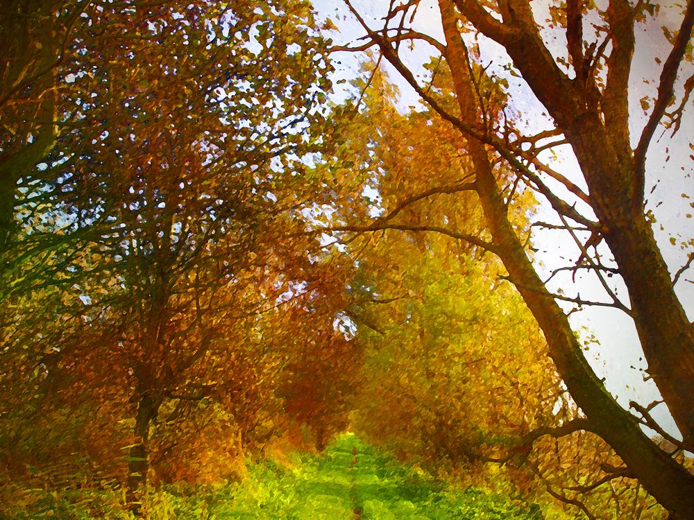 Feldweg Foto & Bild | landschaft, jahreszeiten, herbst Bilder auf fotocommunity