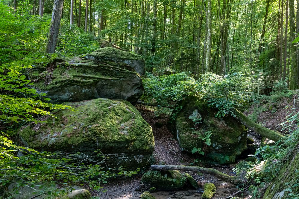 Felsen Foto & Bild | landschaft, wald, wege und pfade Bilder auf ...