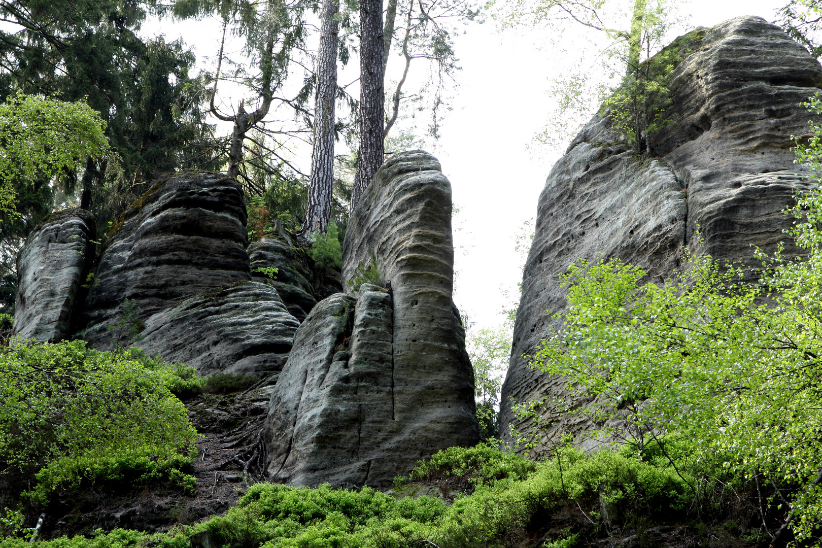 Felsen in der Böhmischen Schweiz Foto & Bild | world, europe, czech ...