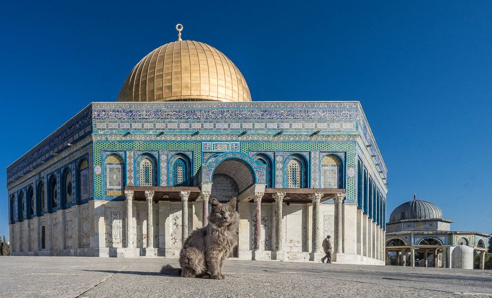 Felsendom Foto & Bild | archiv, a r c h i v aktuell, reisefotografie ...