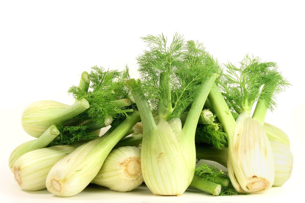 Fenchel a Foto & Bild | stillleben, essen & trinken, obst & gemüse ...