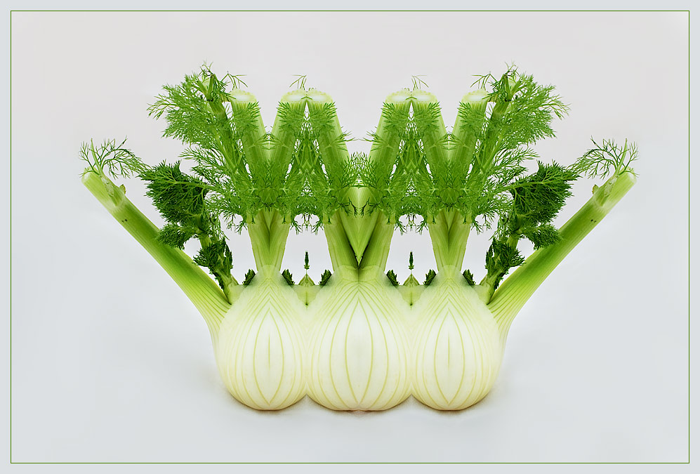 Fenchel mal anders! Foto & Bild | monatswettbewerbe, 11 - essen ...