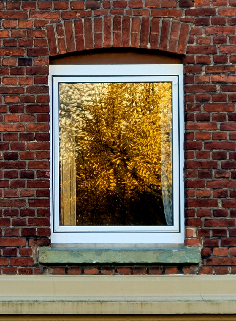 ...Fensterbild... Foto & Bild | fenster, natur, herbst Bilder auf ...