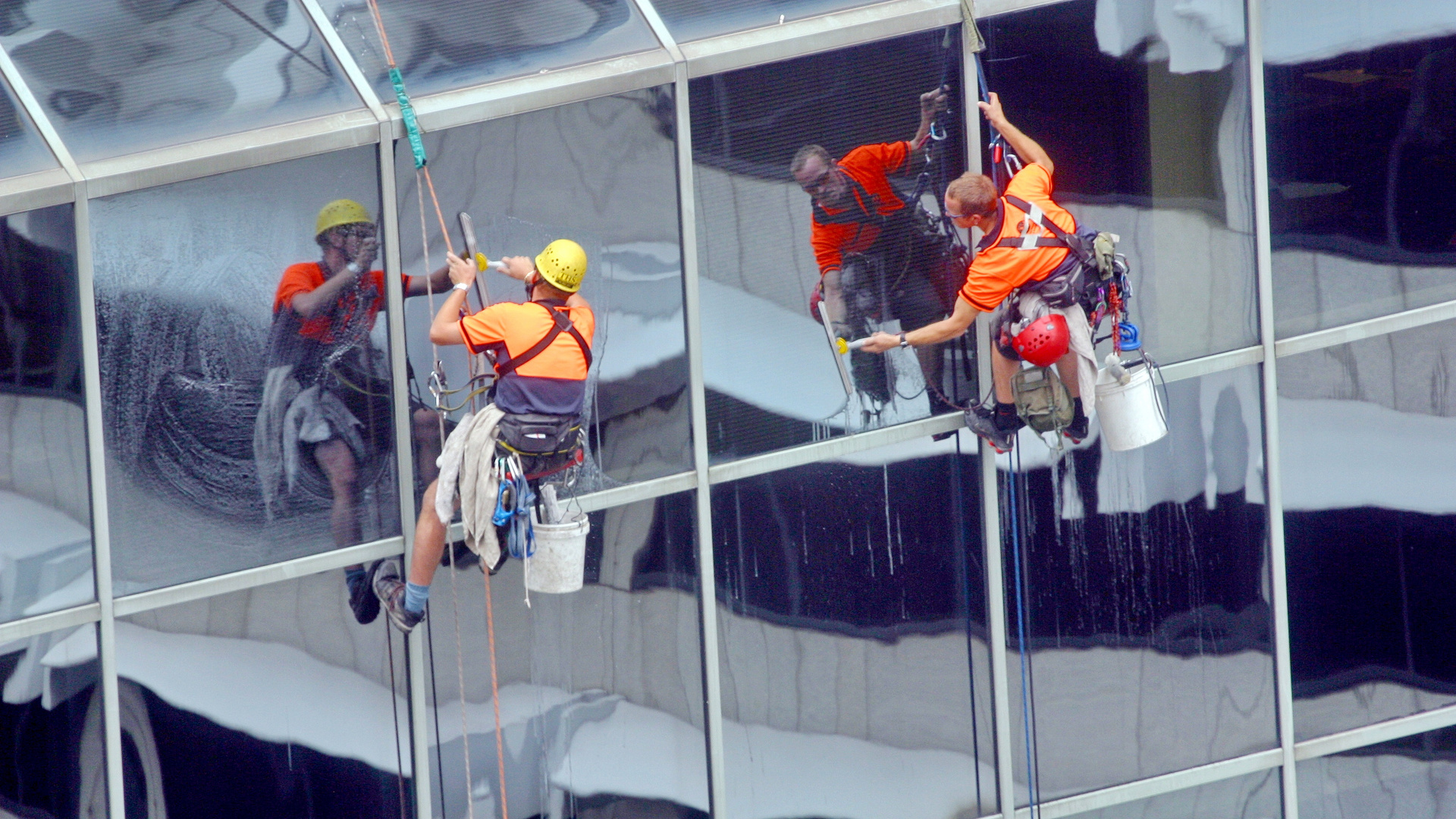 Fensterputzer Foto & Bild | australia & oceania, australia, world ...