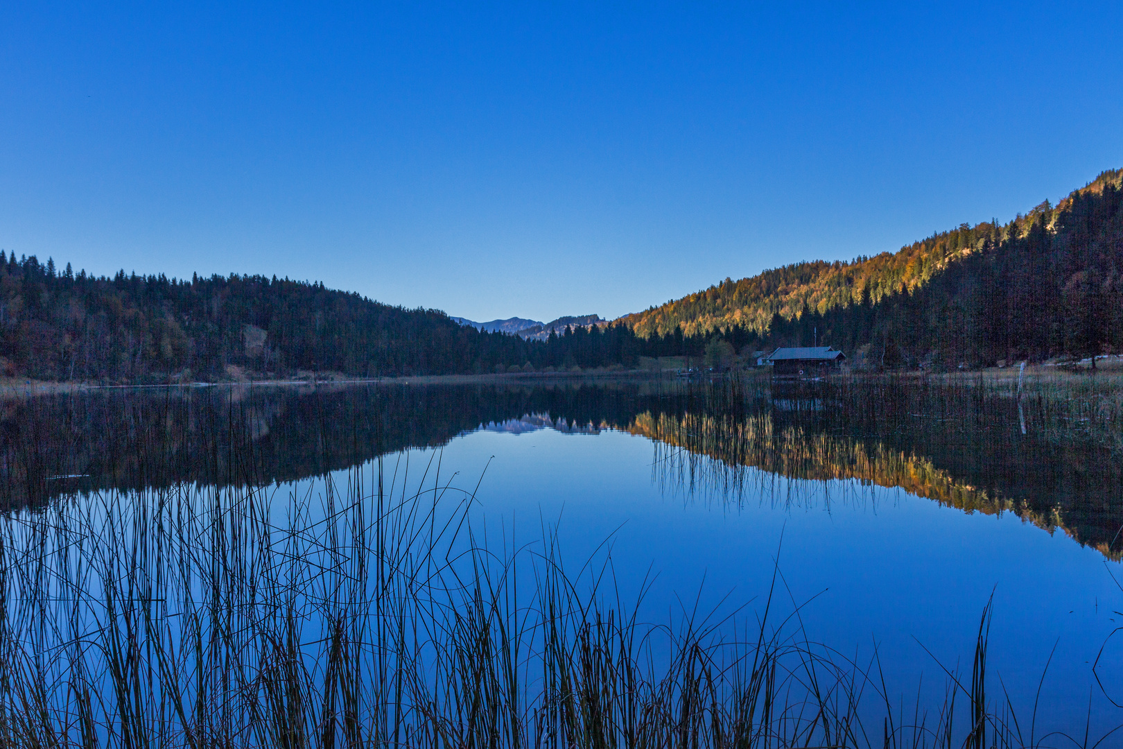 Ferchensee Foto & Bild | wald, abendstimmung, schilf Bilder auf ...