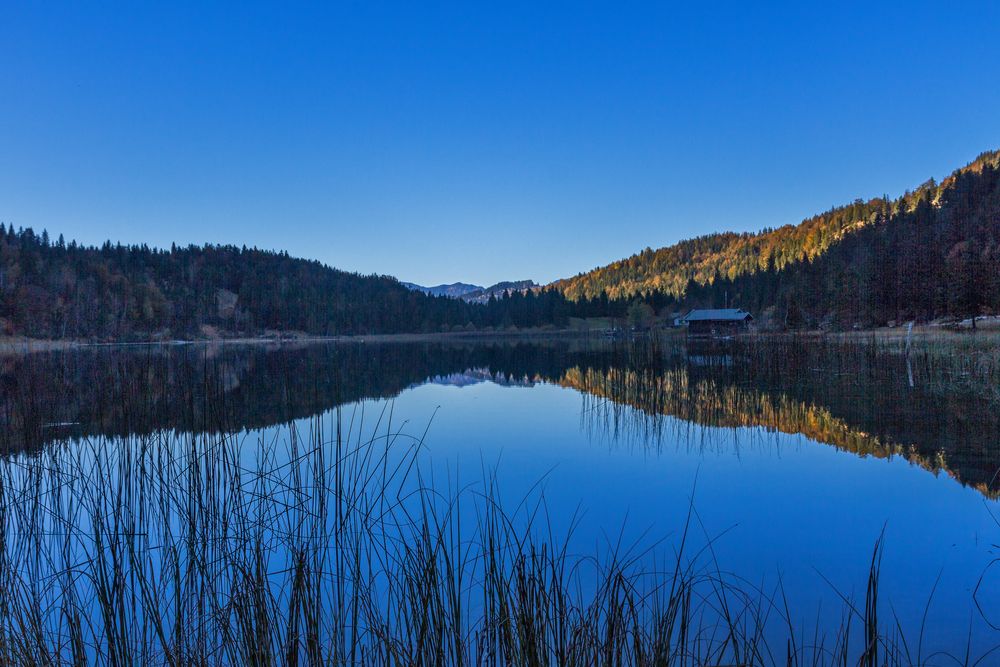 Ferchensee Foto & Bild | wald, abendstimmung, schilf Bilder auf ...