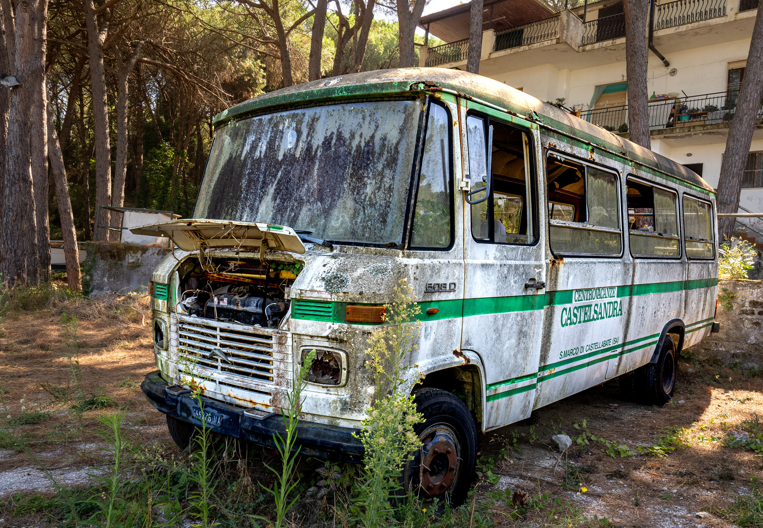 Ferienexpress Foto & Bild | lost places, natur, bus Bilder auf ...