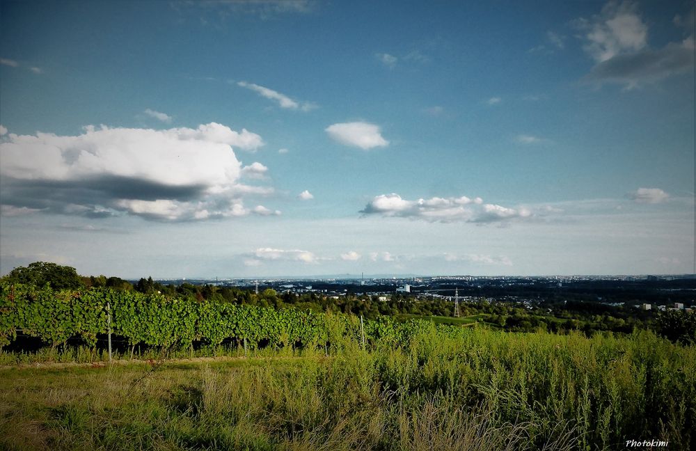 Fernsicht über das Rhein-Main-Gebiet Foto & Bild | landschaft, himmel ...