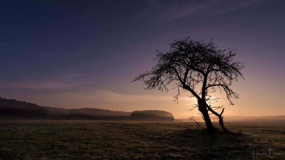 Fernweh Foto & Bild | deutschland, europe, bayern Bilder auf fotocommunity