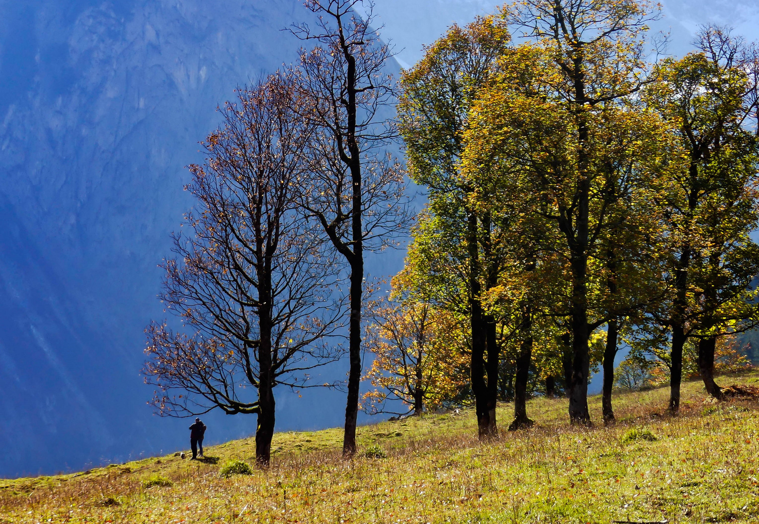 Fernweh Foto & Bild | landschaft, berge, wald Bilder auf fotocommunity
